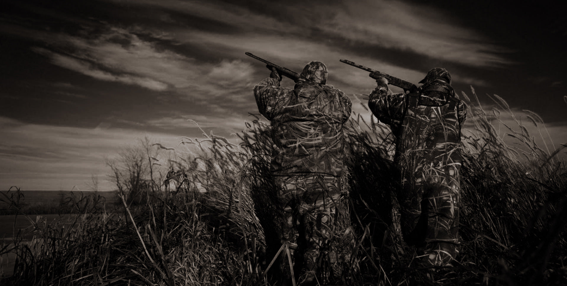 MACAVITY ARMS – Macavity Arms